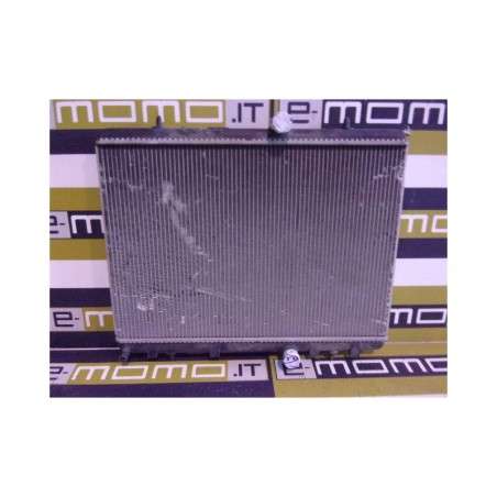 Radiatore Acqua P9680533480 Peugeot 3008 308 Citroen C4